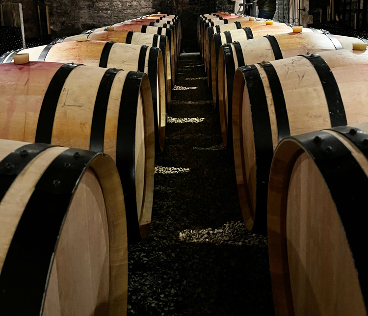 A Matter of Taste: A Collective Vision for the World of Fine Wine